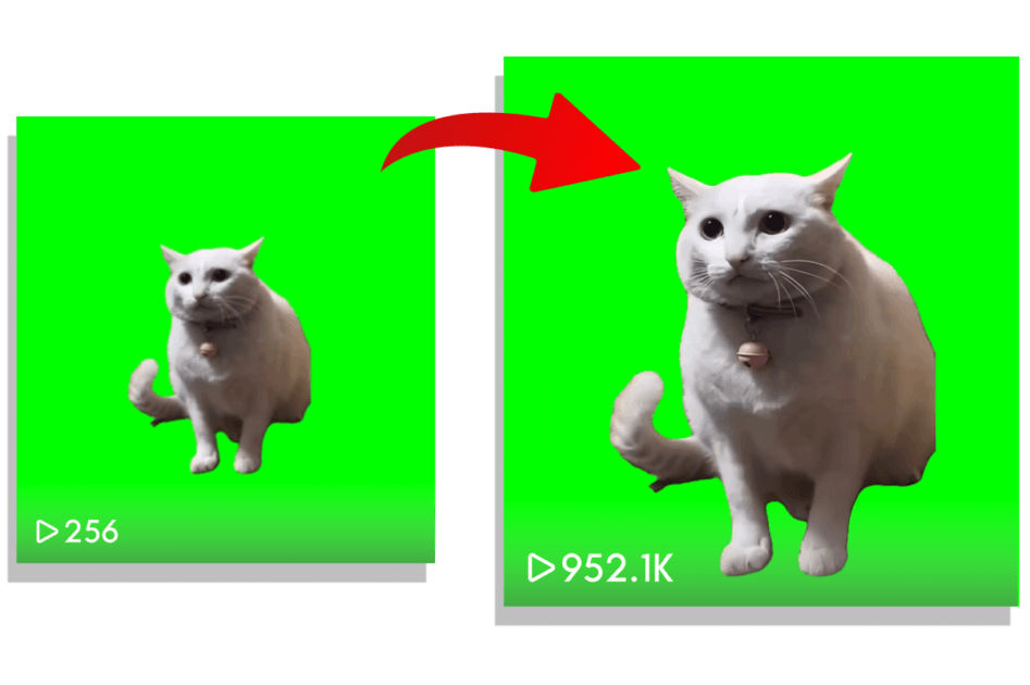 Top 100 Green Screen Memes Videos - Green Screen Memes