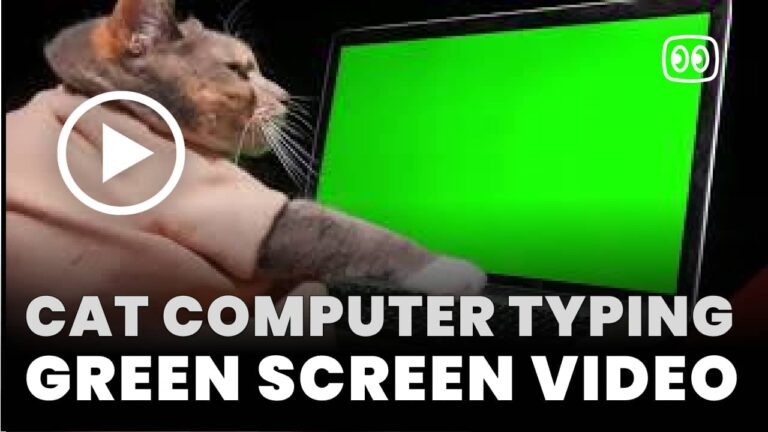 Cat computer typing Green Screen - Green Screen Memes