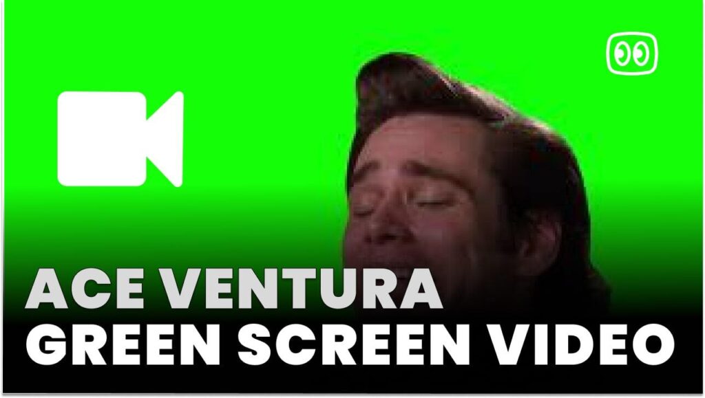 Ace Ventura GREEN SCREEN - Free MP4 Download