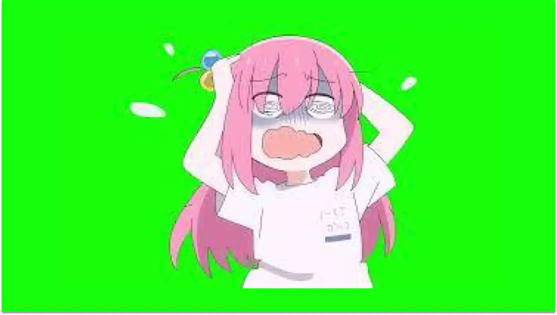 Bocchi The Rock Hitori Confused Green Screen download - Green Screen Memes