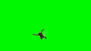 lizard-getting-punched-by-nothing-green-screen - Green Screen Memes