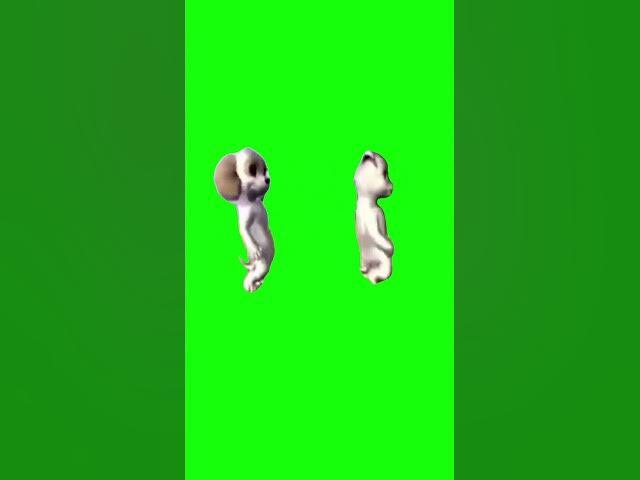 the-dancing-dogs-from-barbie-and-the-diamond-castle-green-screen ...