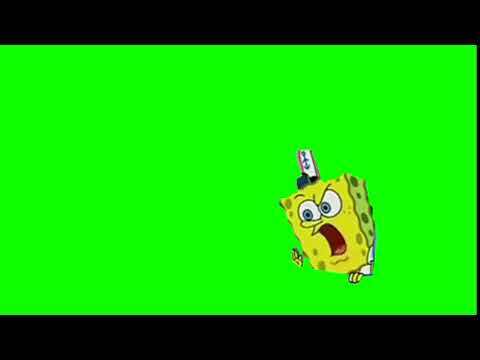 spongebob-i-think-some-people-are-eavesdropping-green-screen - Green ...
