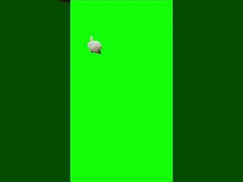 duck-running-around-green-screen - Green Screen Memes