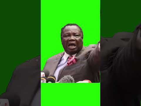 atwoli-what-is-he-saying-green-screen - Green Screen Memes