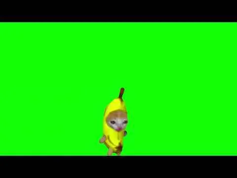 Happy Cat Green Screen - Video Download MP4