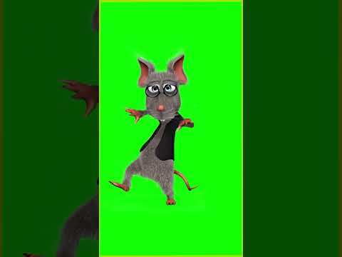 funny-rat-green-screen - Green Screen Memes