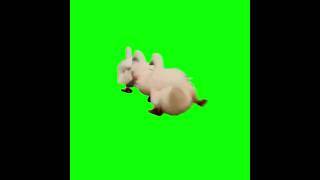 3-ducks-running-arround-green-screen - Green Screen Memes