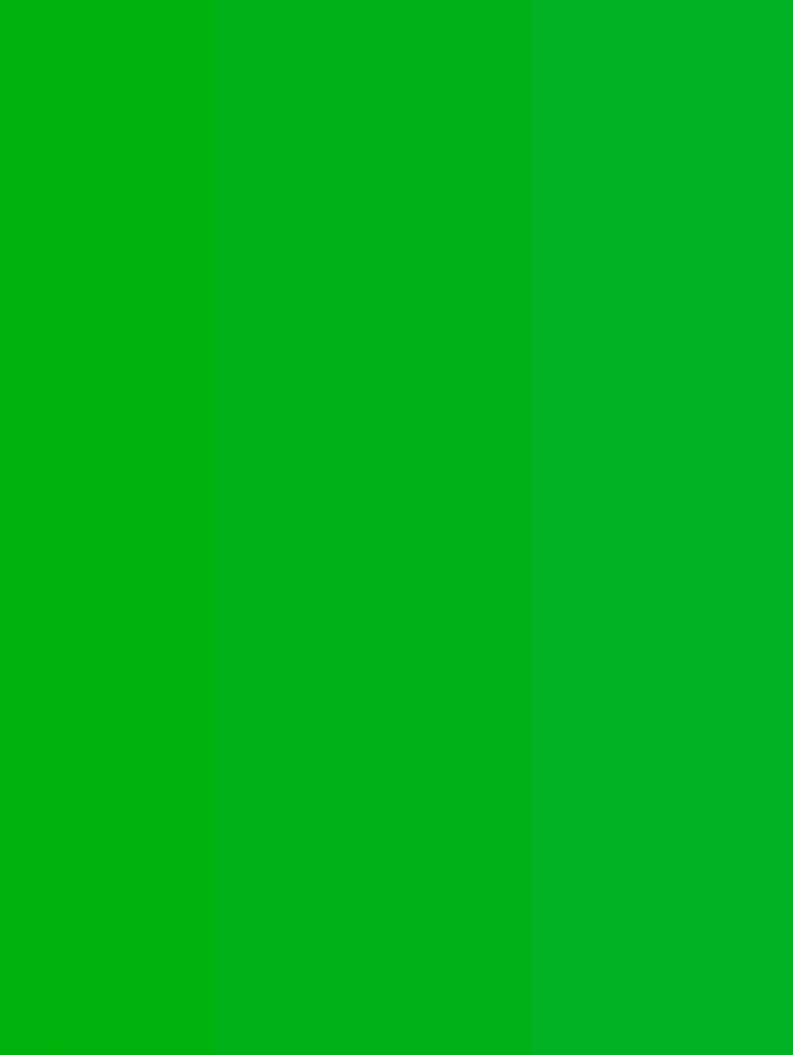 i-need-more-bullets - Green Screen Memes