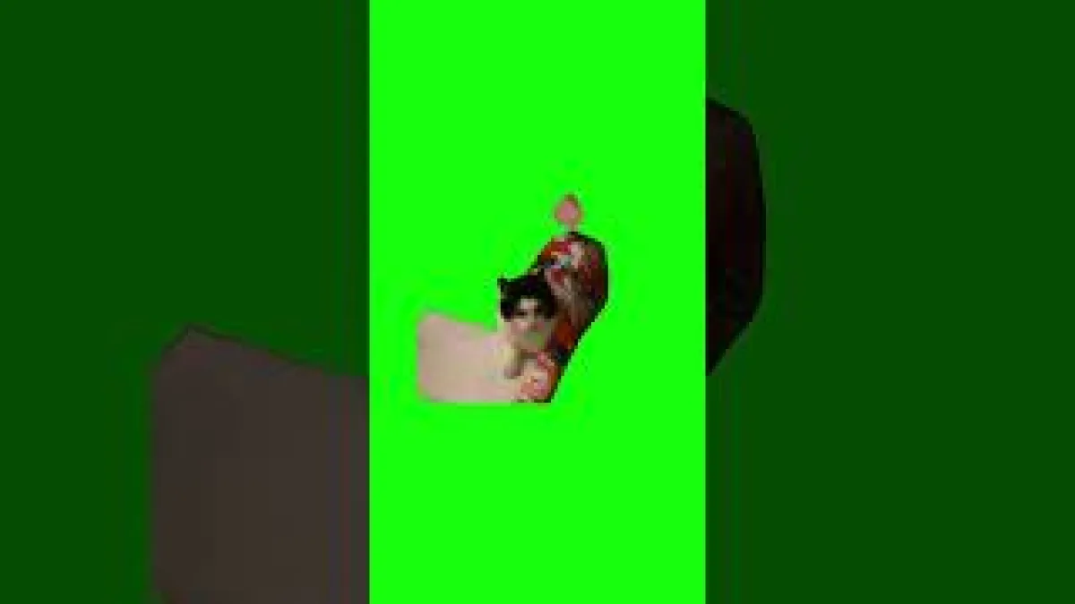 Cat Getting Wrapped Up Like a Present Green Screen - Video Download MP4