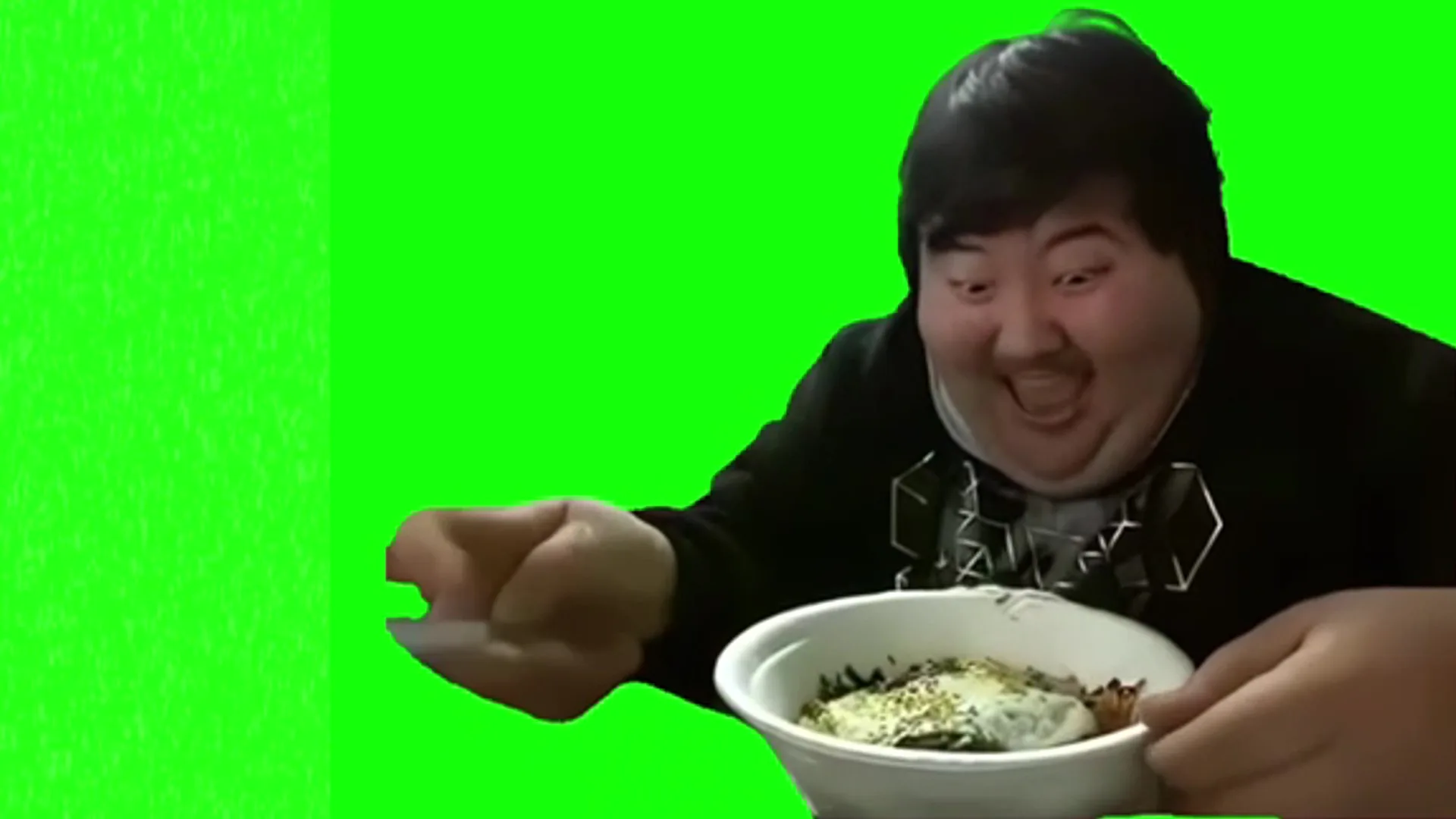 Cat meme funny cat green screen - Download MP4