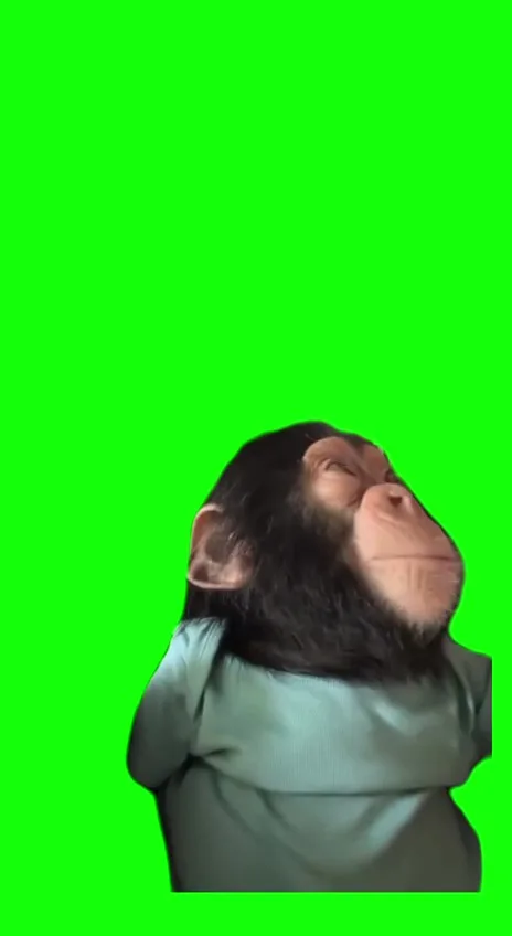 Monkey Blowing Raspberries meme Green Screen - Video Download MP4