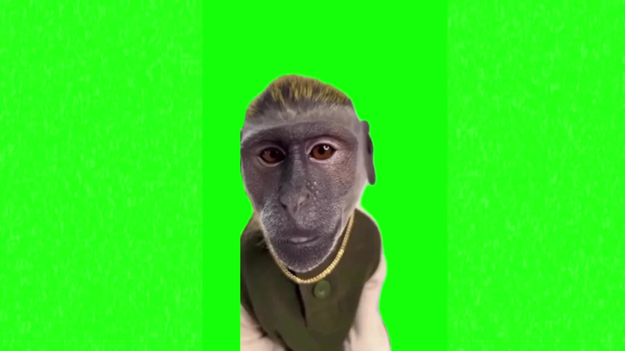Monkey with drip meme green screen - Video Download MP4