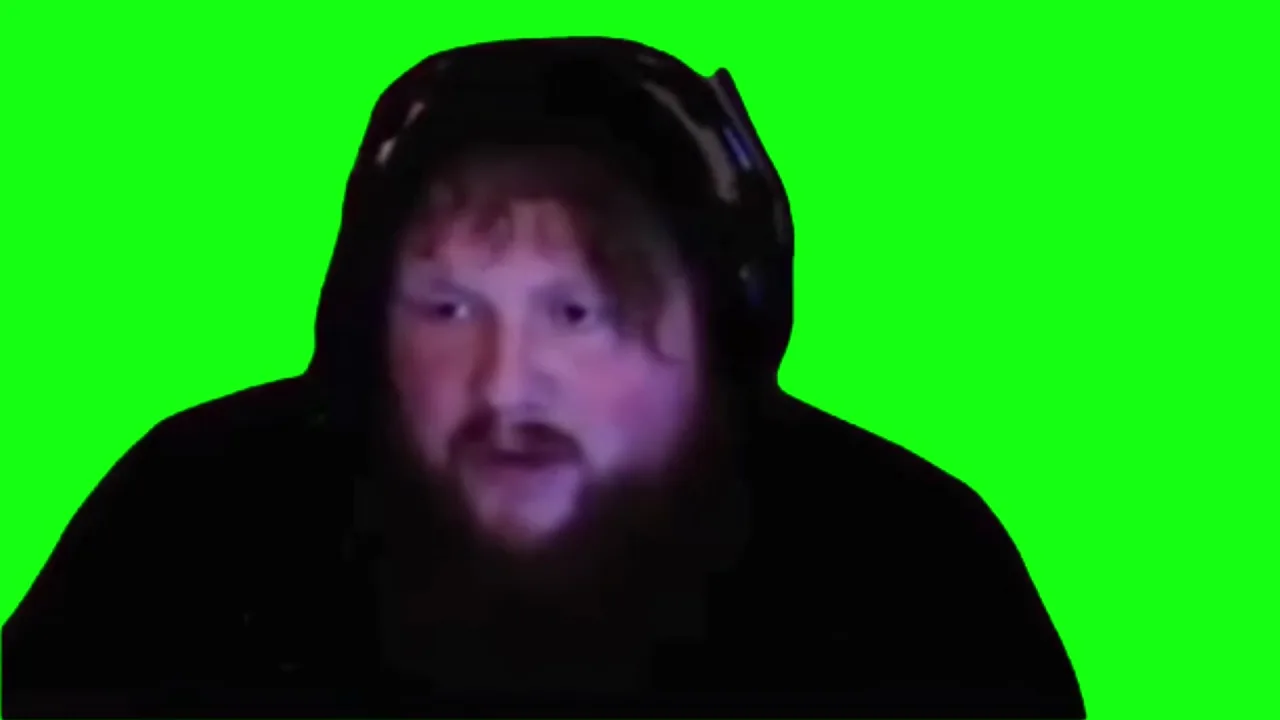 Guys look a birdie Cursed Version Meme Green Screen - Download MP4