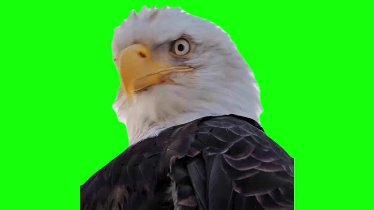 Dancing Gorilla green screen - Download MP4