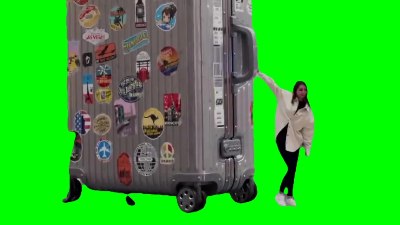 Big Luggage Meme green screen - Video Download MP4