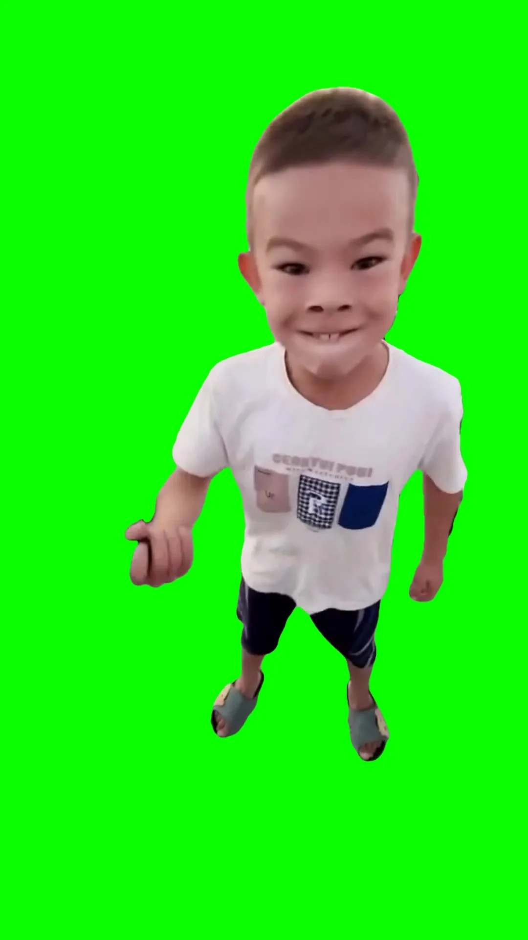 Founders of ALS nonprofit speech green screen - Video Download MP4