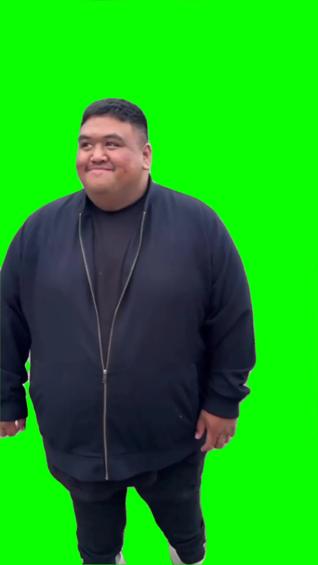 That's Quite Big Meme Green Screen - Video Download MP4