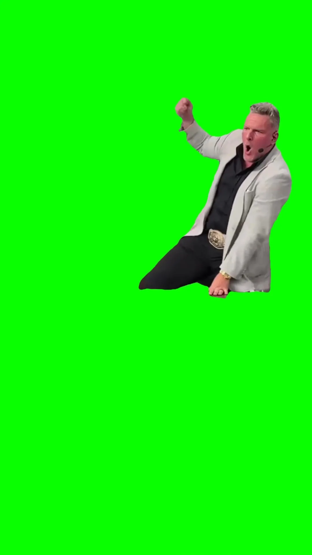 Laughing dog meme green screen - Video Download MP4