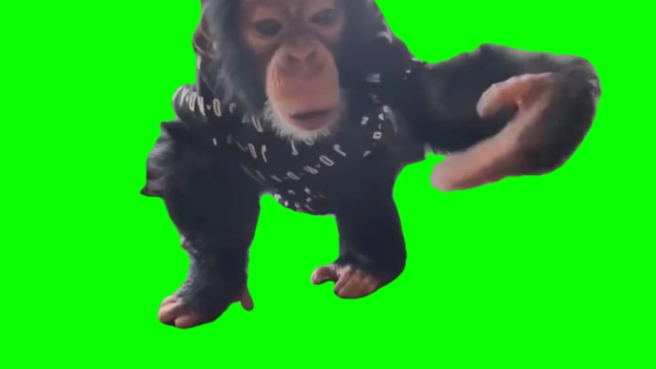 Monkey Blowing Raspberries meme Green Screen - Video Download MP4