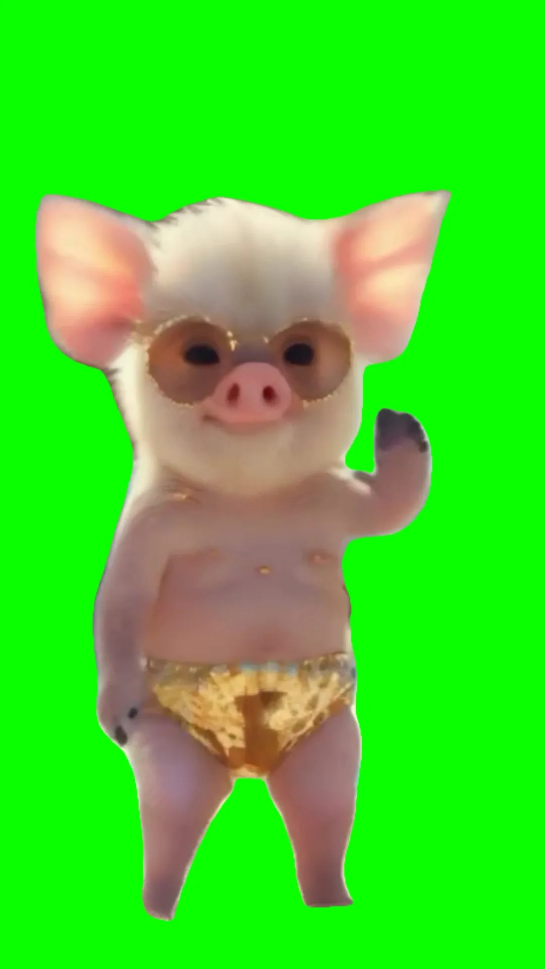 Duck My Cheese Feet Blue Screen green screen - Video Download MP4