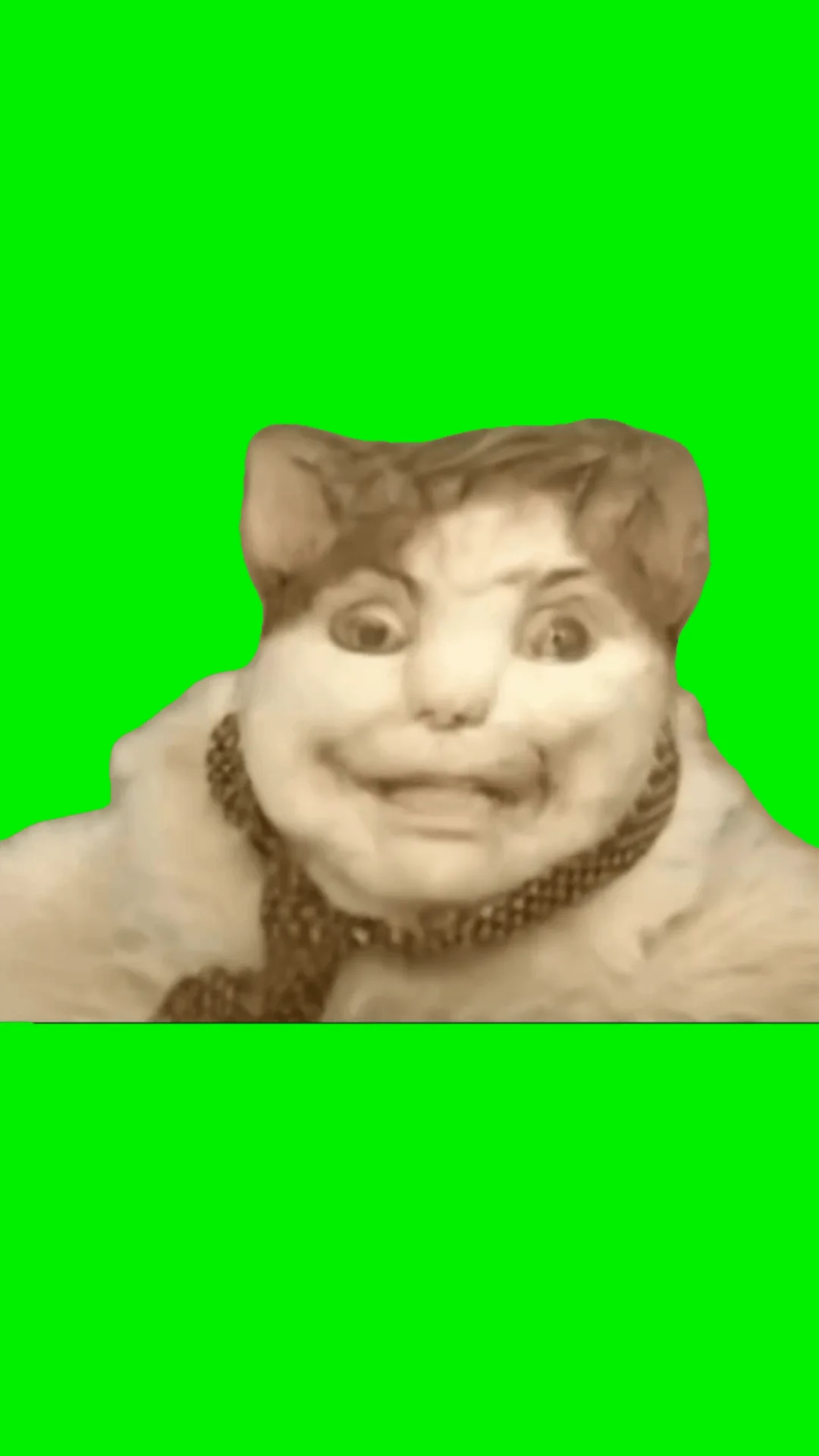 Boo dont be afraid espanol green screen - Video Download MP4