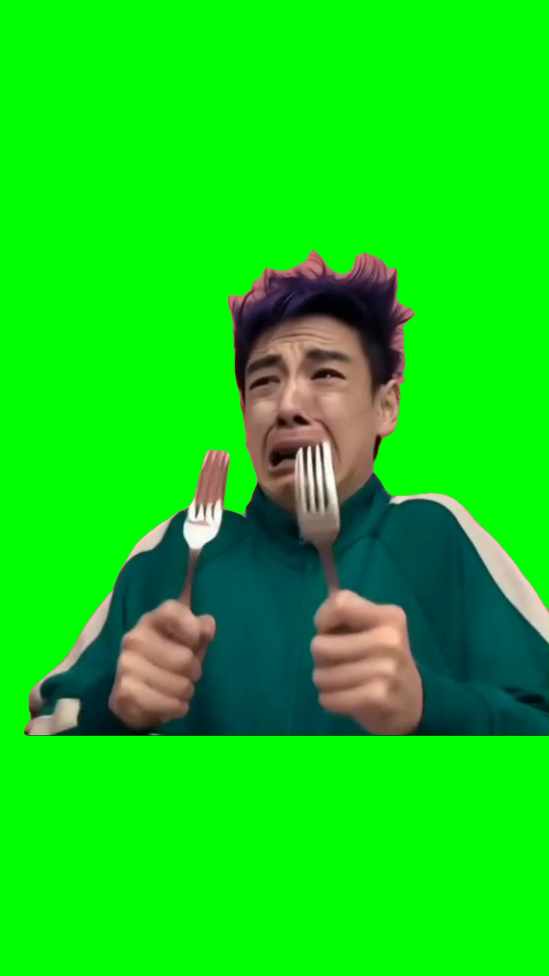 Dwayne Johnson Eyebrow Meme Green Screen - Free MP4