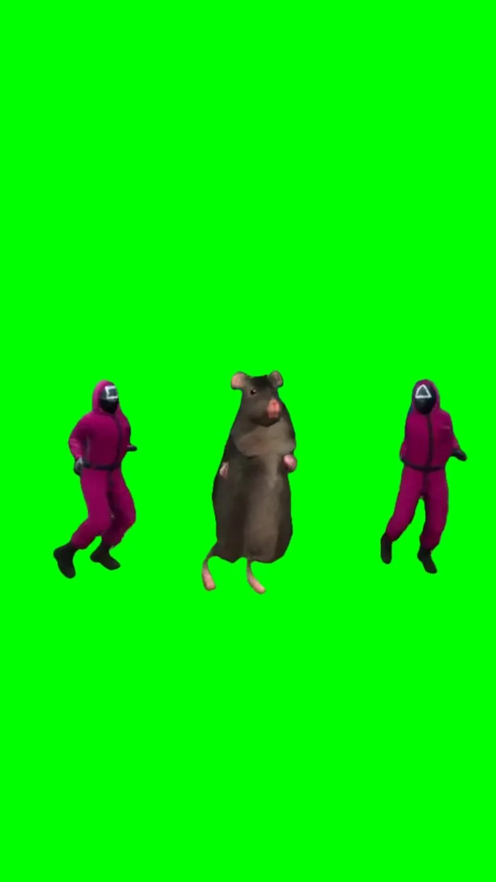 Mingle rat dancing green screen - Video Download MP4