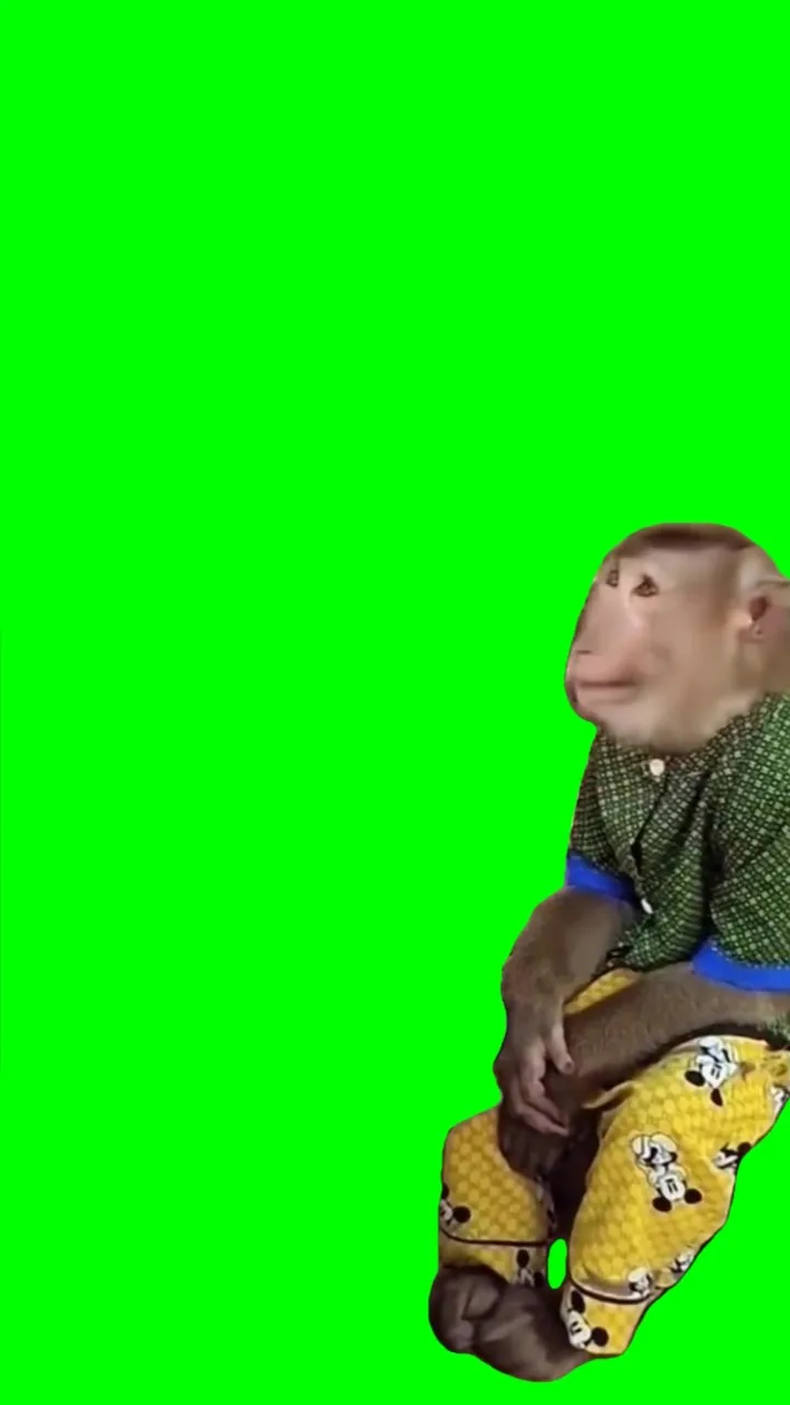 Monkey sitting. Meme Green Screen - Video Download MP4