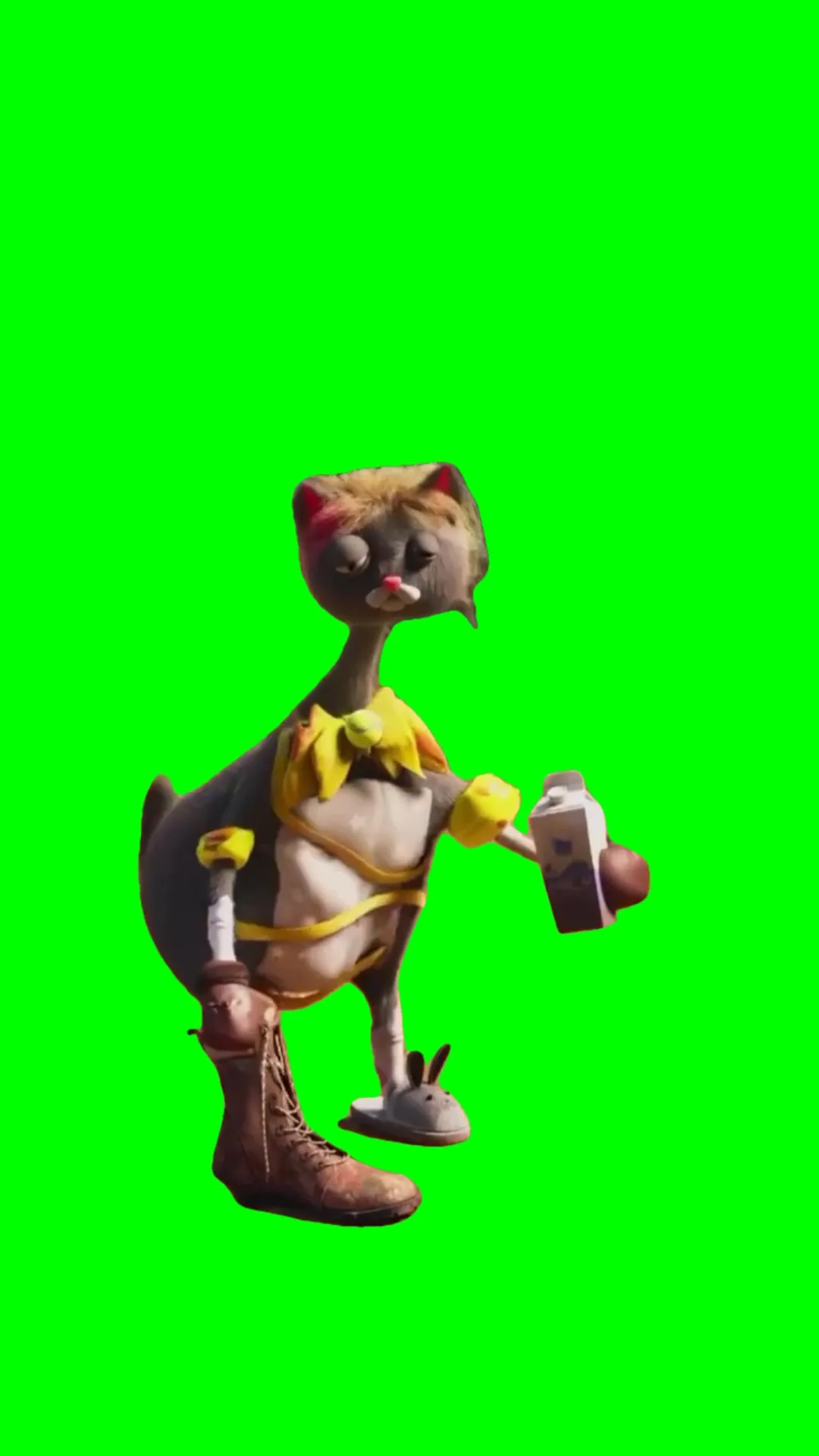 Cat driving a car green screen - Video Download MP4