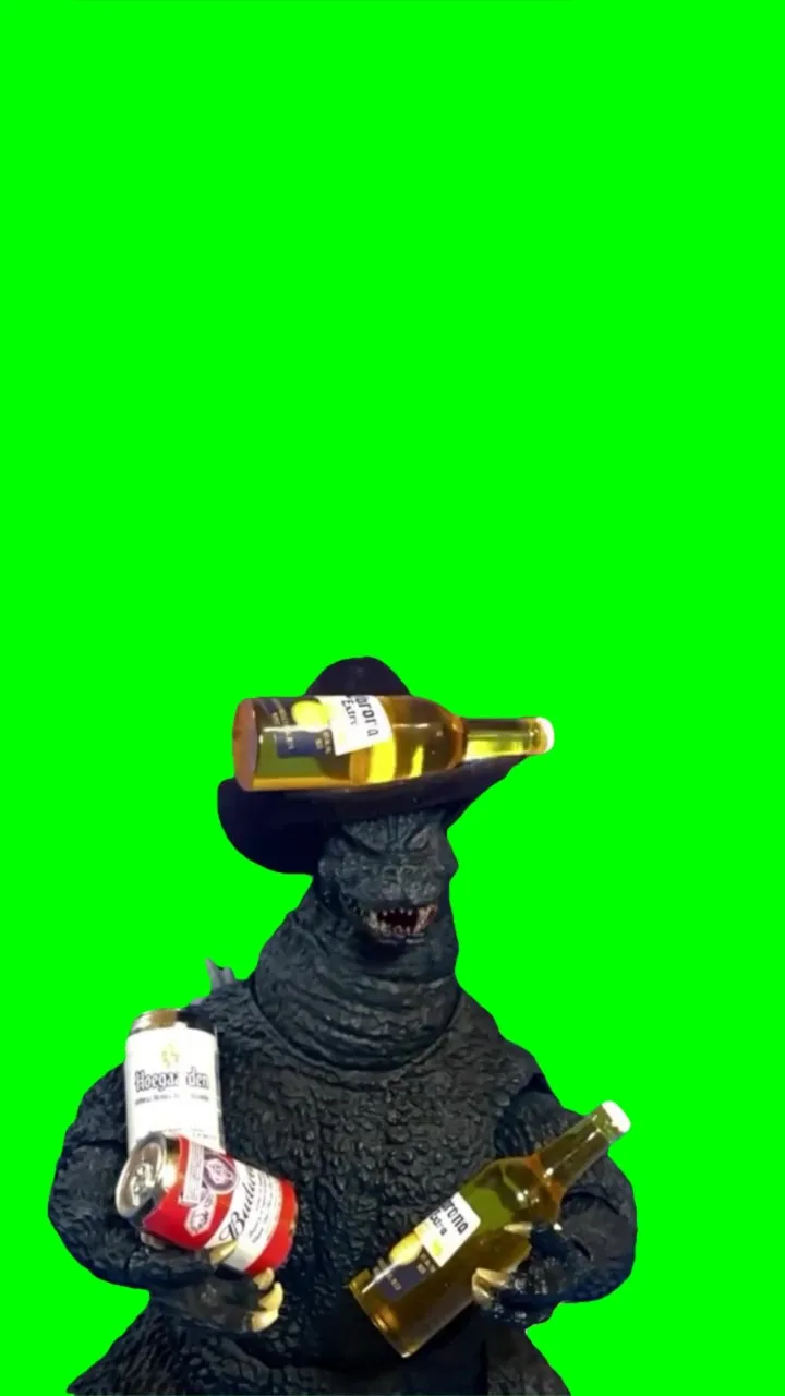 Something is wrong with my legs meme green screen - Video Download MP4