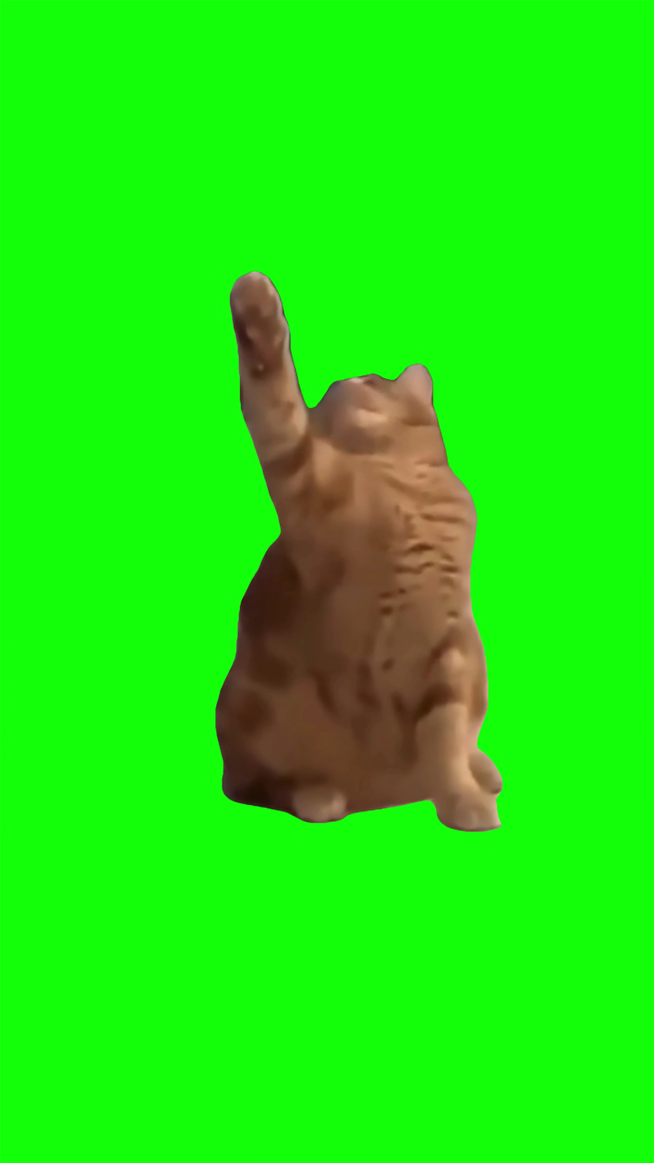 Memes Download - Download Memes MP4