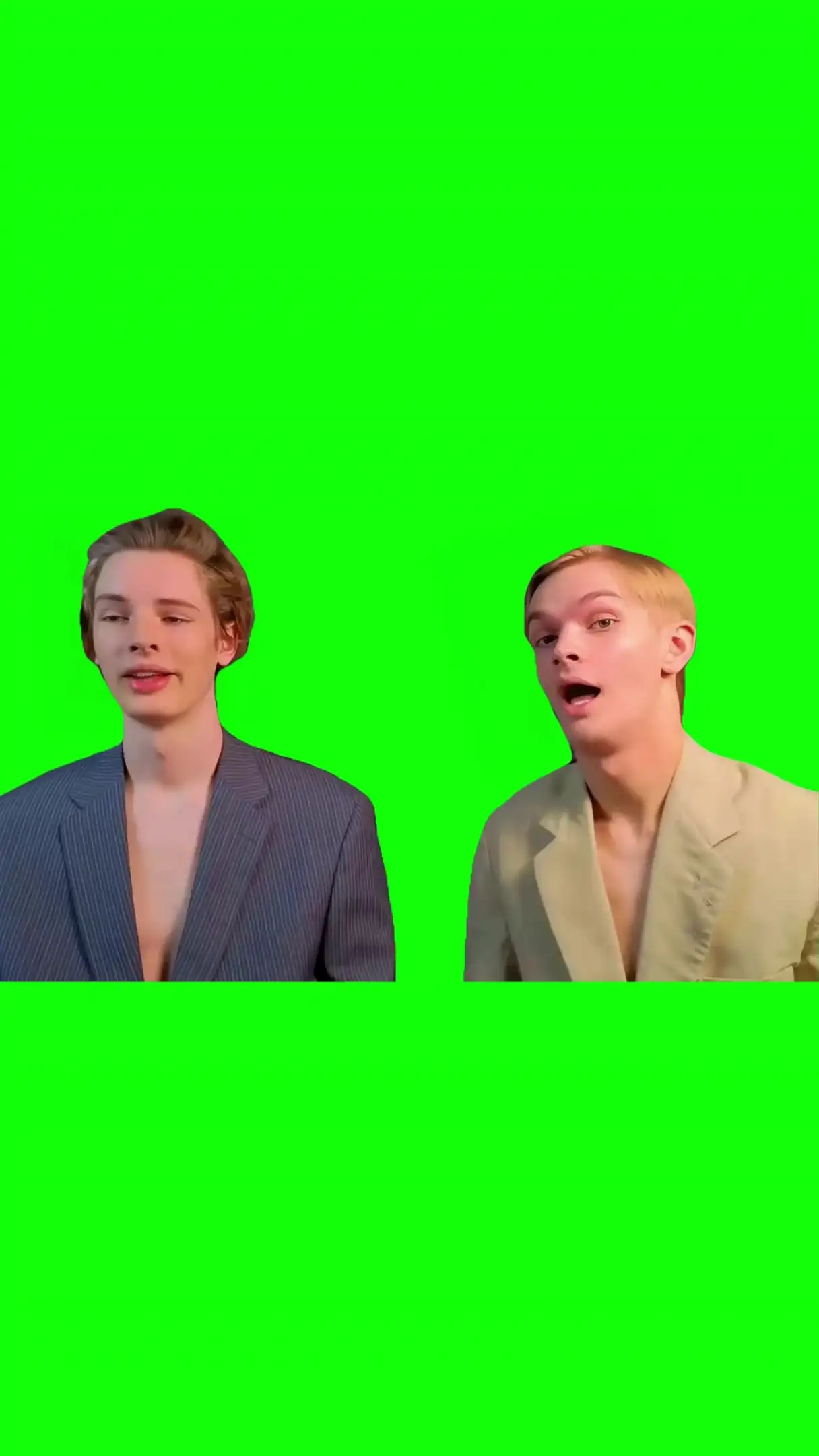 Cat meow green screen - Down