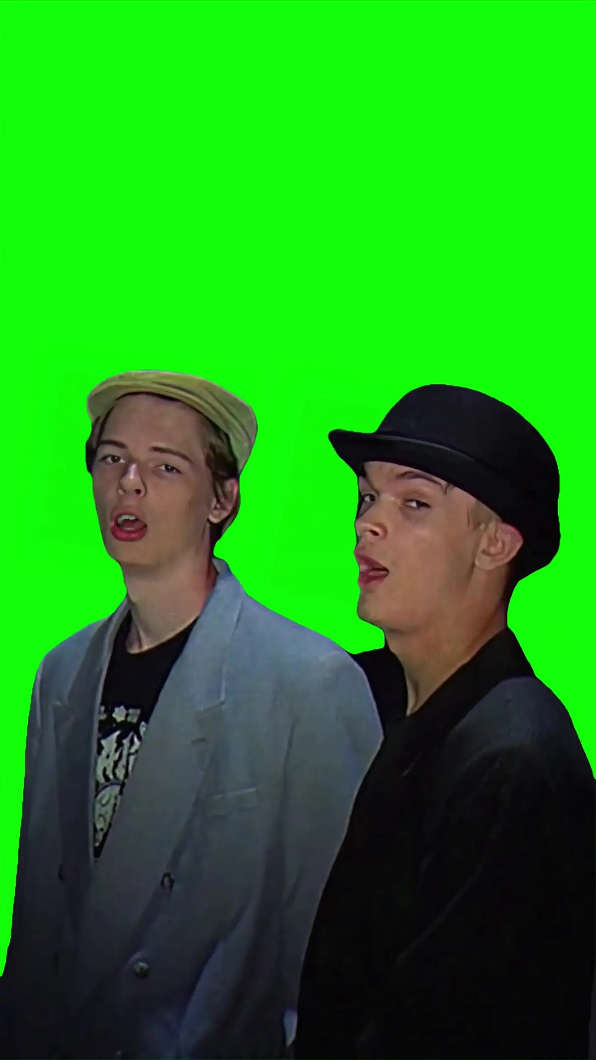 Arguing with a gorilla green screen - Video Download MP4